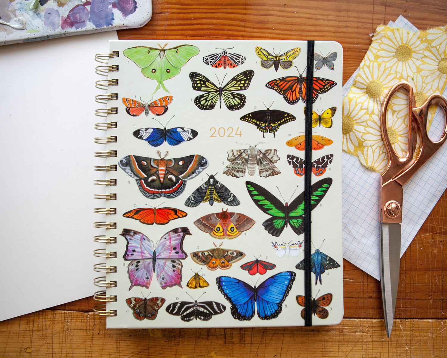 Collections – Kelzuki