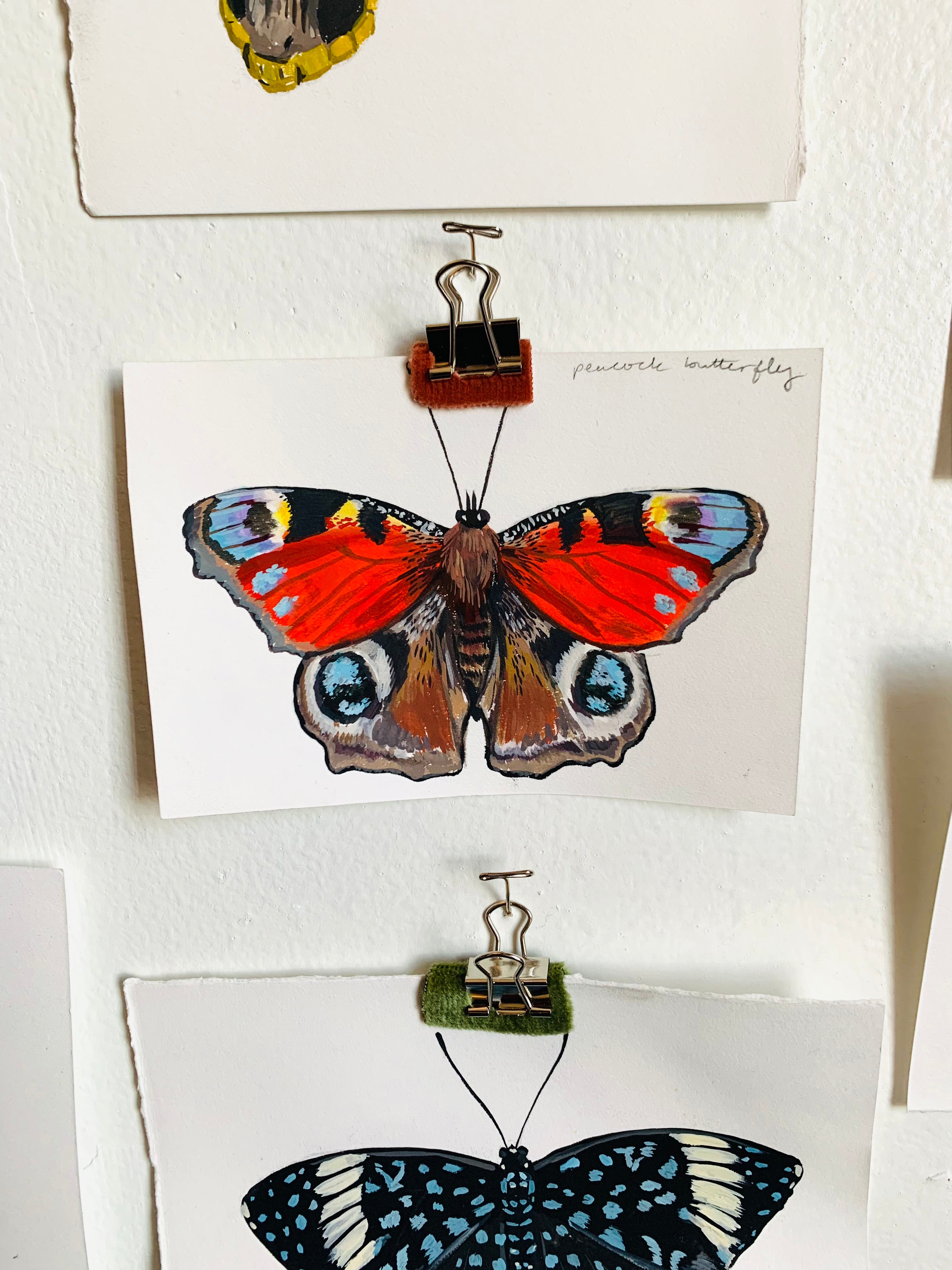 Peacock butterfly – Kelzuki