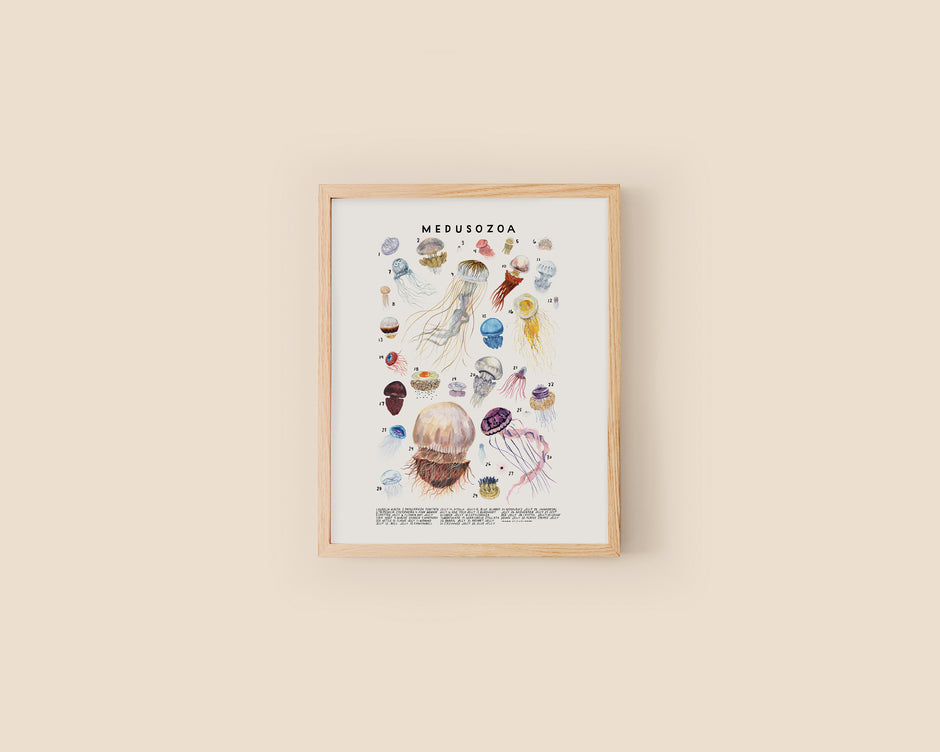 Creatures of the Order prints – Kelzuki