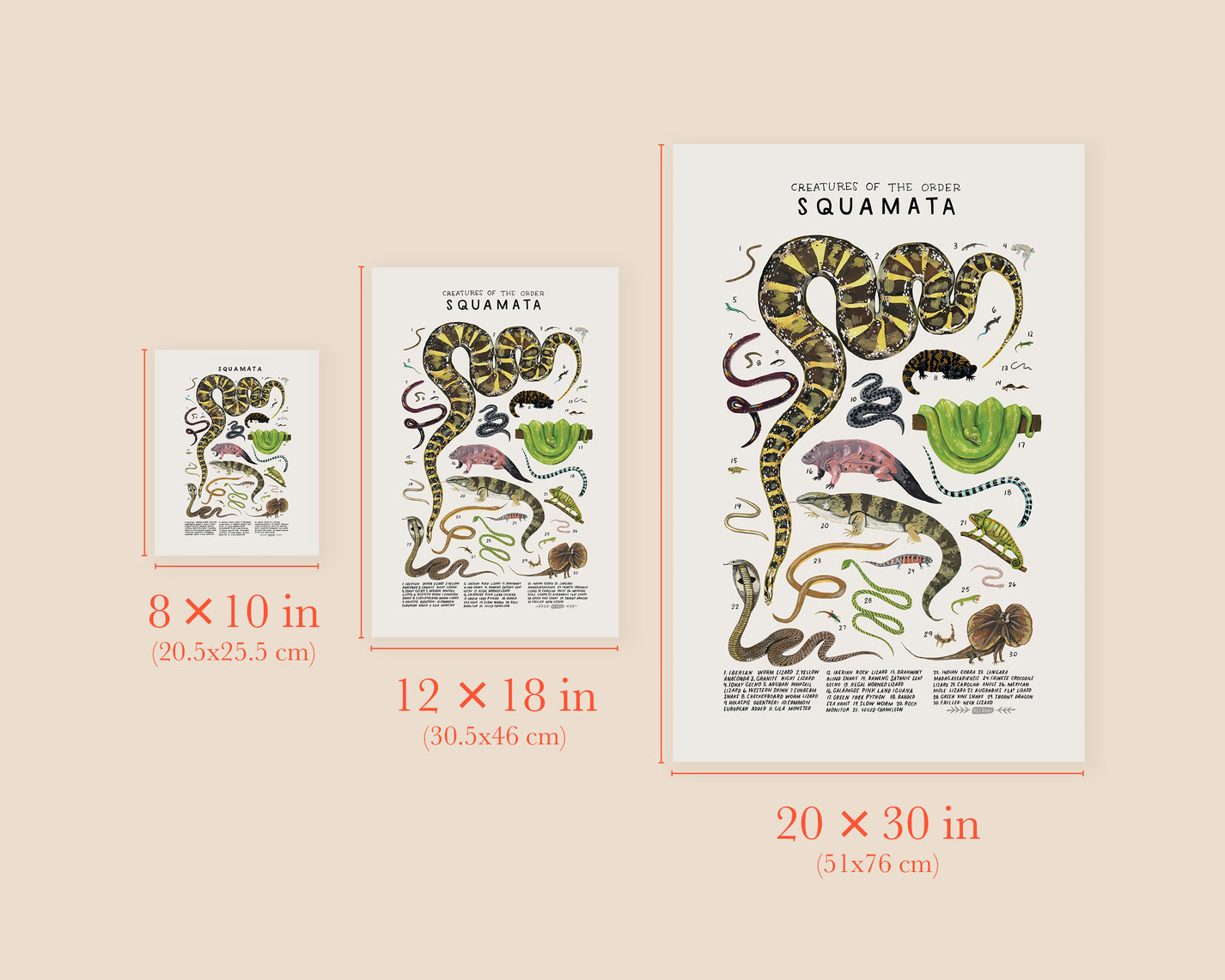 Snakes art print- Creatures of the Order Squamata – Kelzuki